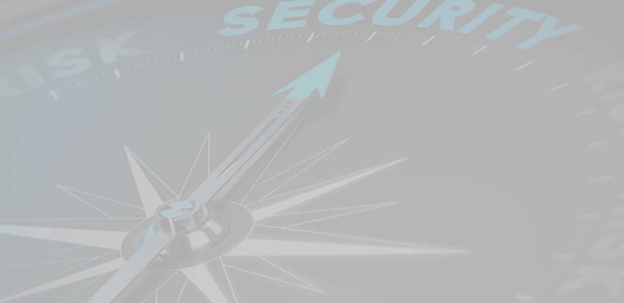 Security Solutions For High Risk Environments | Bravo Zulu Group