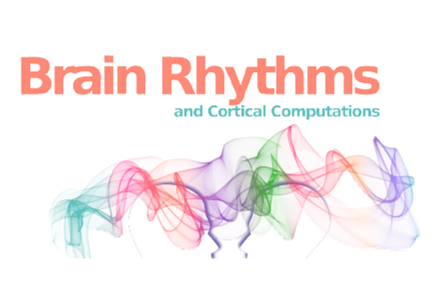 Brain Rhythms and Cortical Computation workshop at the IdA