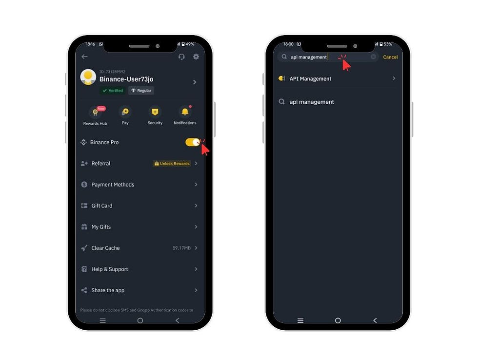 How To Set up API Keys: Binance