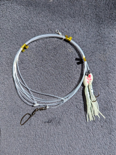 CWEIGHTS BREAM RIG | C Weights