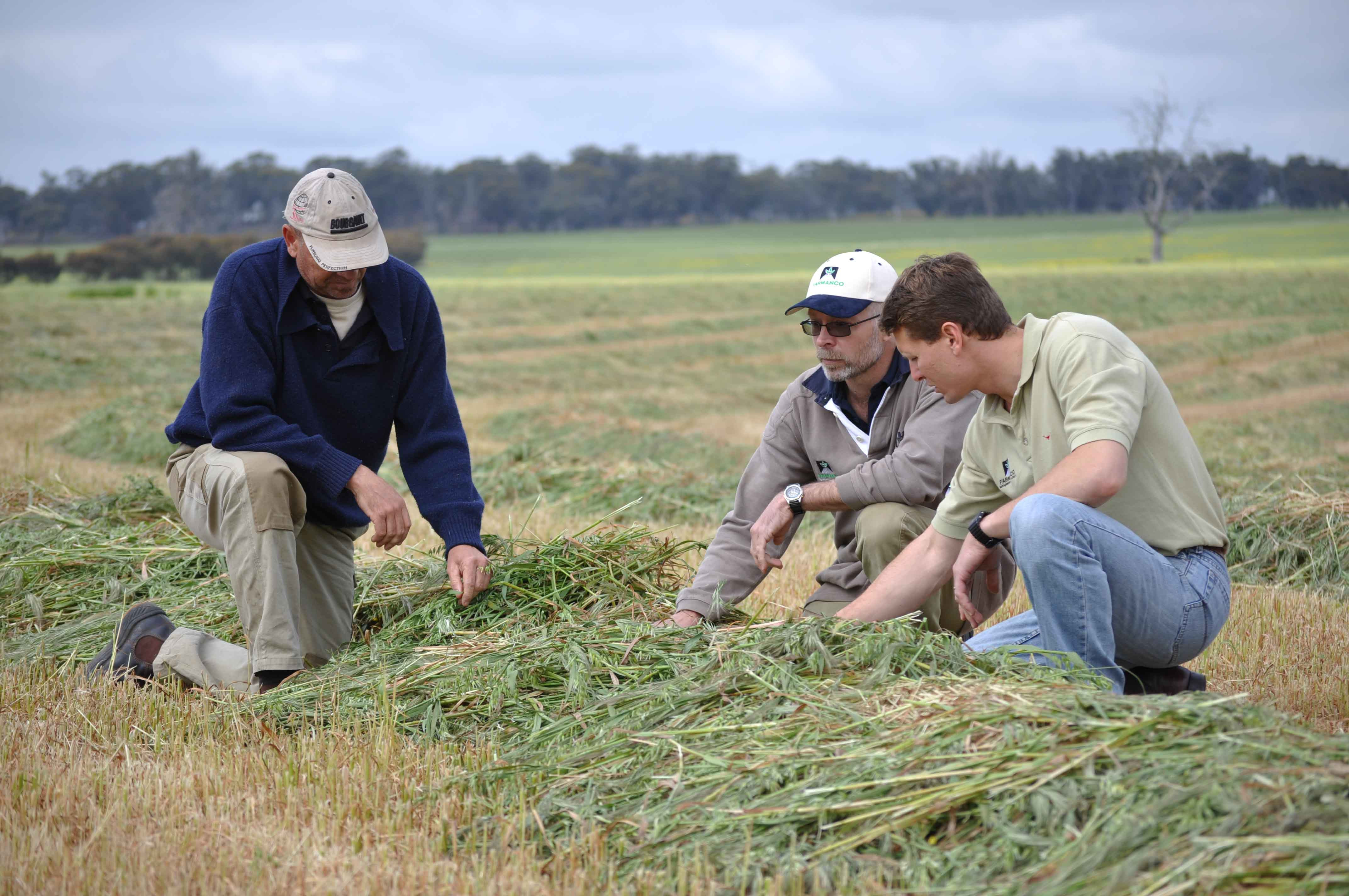 Paddock Level Carbon Benchmarking