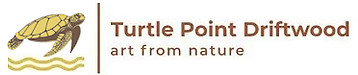 Home | Turtle Point