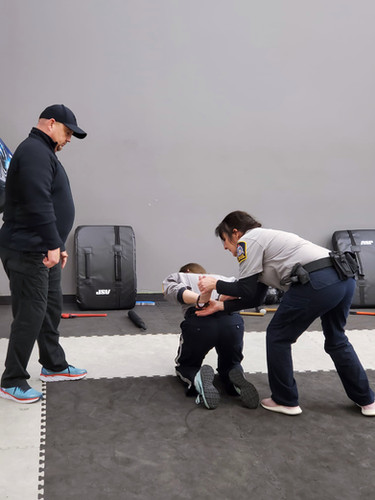 PPCT Control Tactics Recertification | TOS Peace Officer