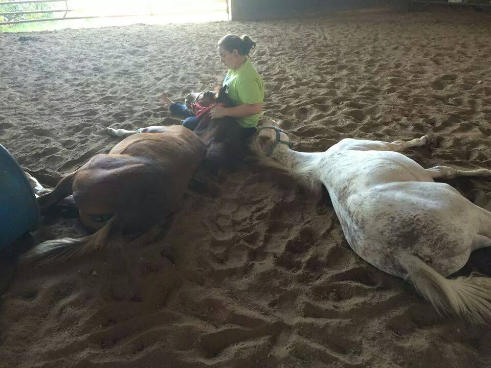 Horse Training | Rockton IL | Rockin PJJR