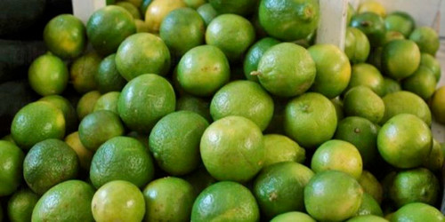 Limones Monarca | CEDA a Domicilio