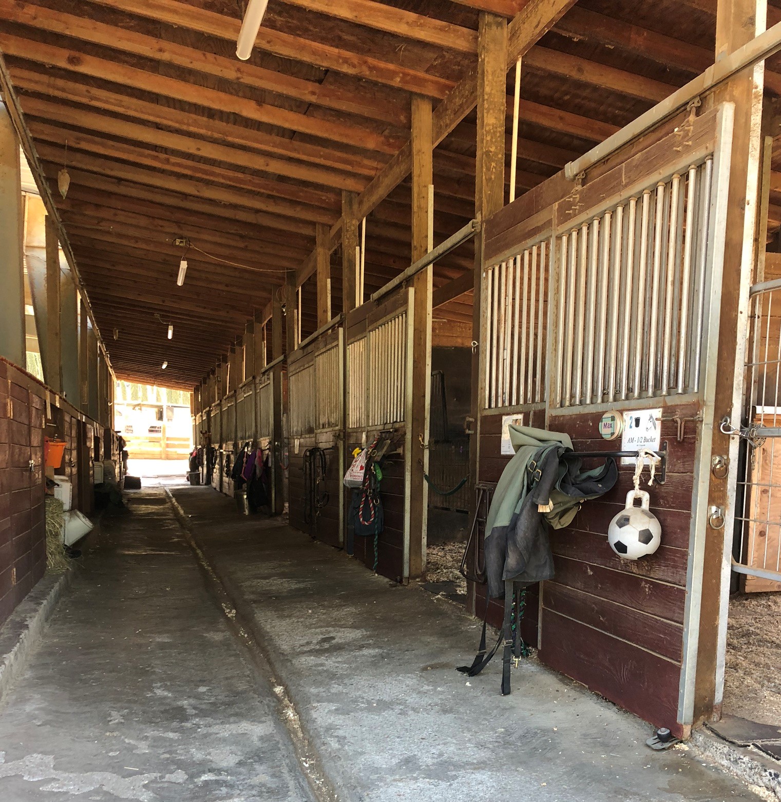 Horse Boarding | Franklin Canyon Stables | Martinez CA
