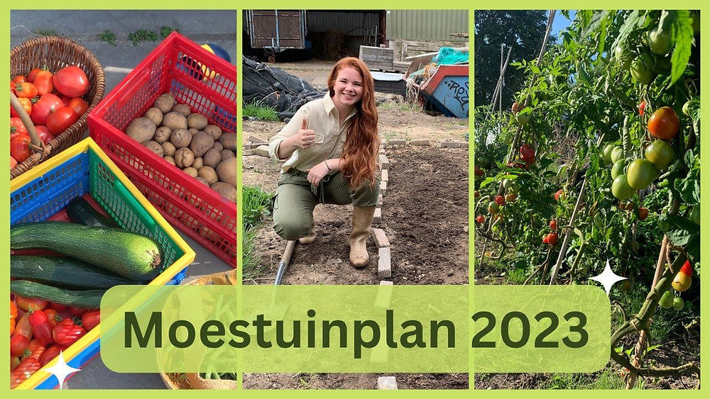 Hoe maak je een moestuin plan?