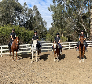Services | Valley Park Riding School