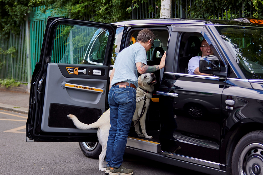 Guide Dogs urges government to take ‘opportunity’ to mandate taxi and ...