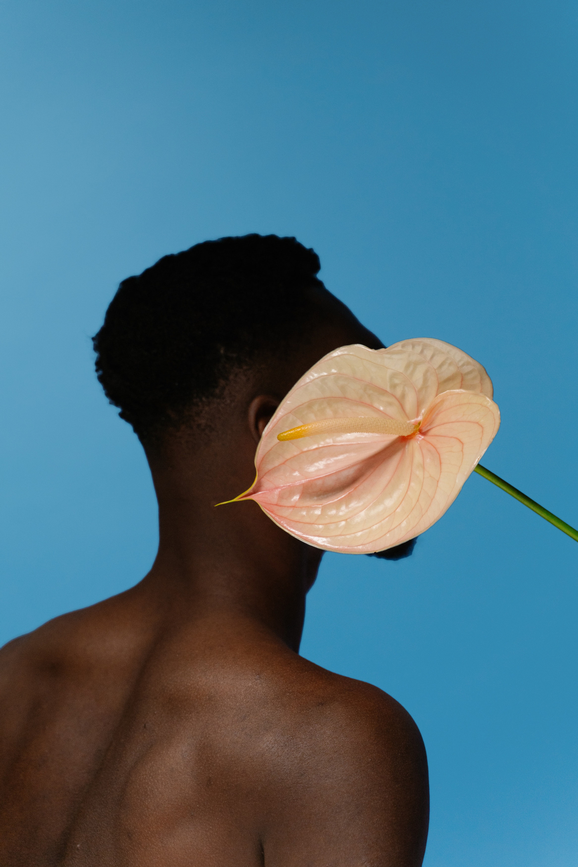 Project Title Learnary