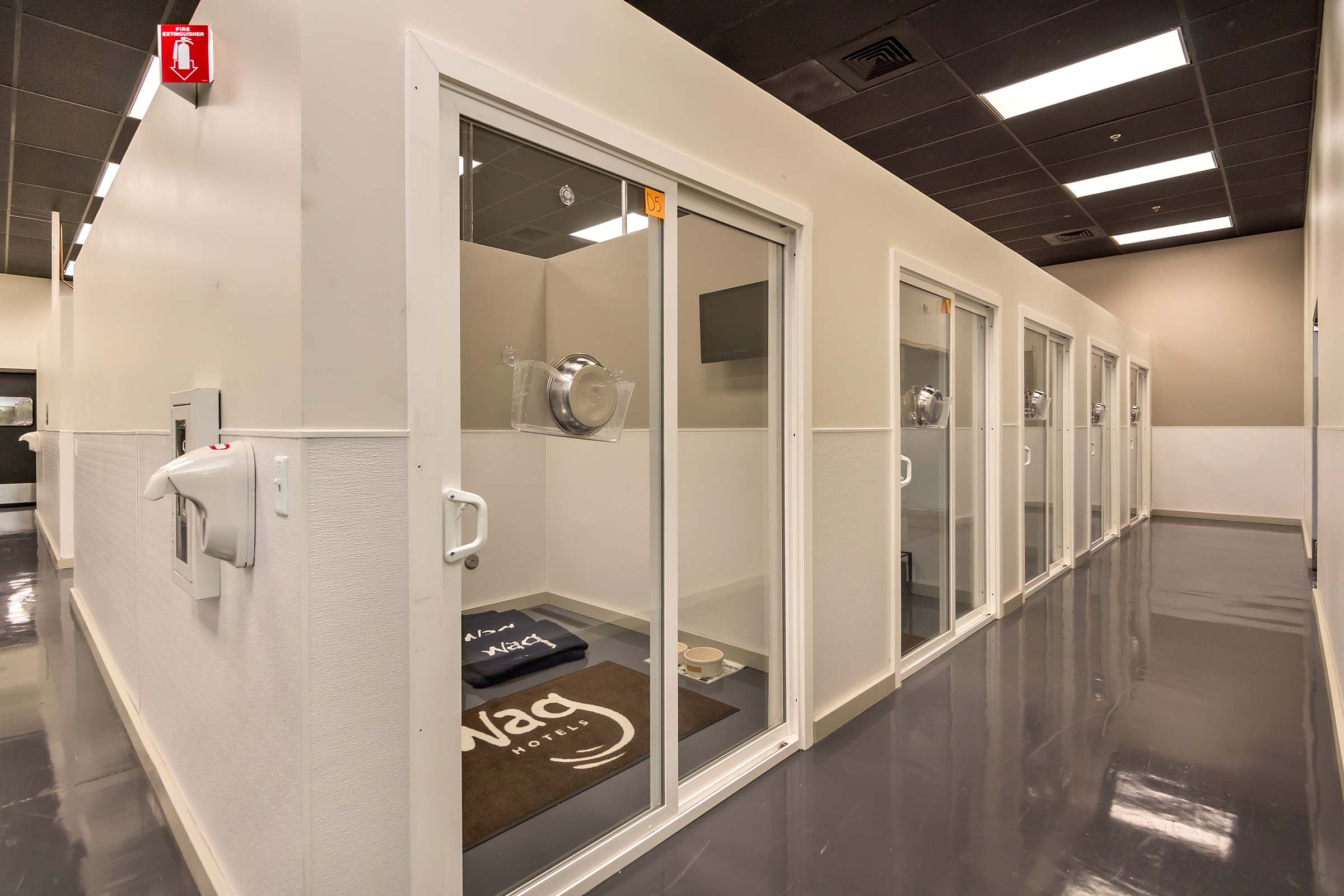 The Kastrop Group | Wag Hotels Redwood City