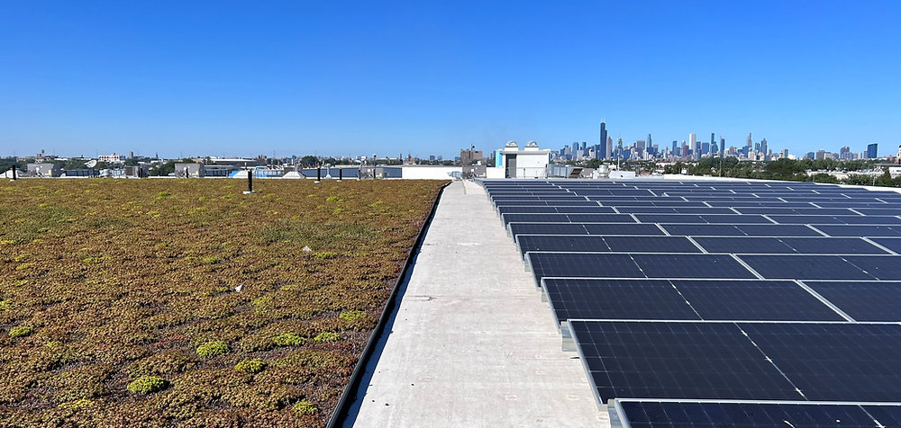 Faces of Solar: Peter Testa, President of Testa Produce