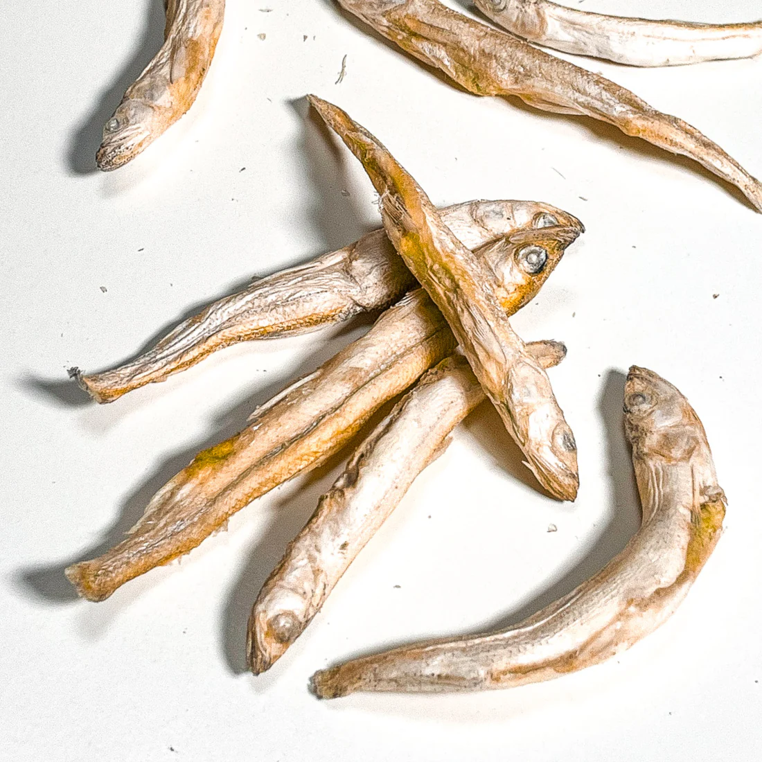 Freeze Dried Wild Smelt | Wild Miles