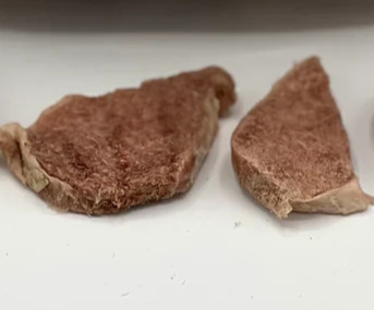 Freeze Dried Turkey Gizzard Chips | Wild Miles