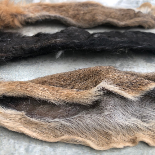 Dried Large Rabbit Ear | Wild Miles