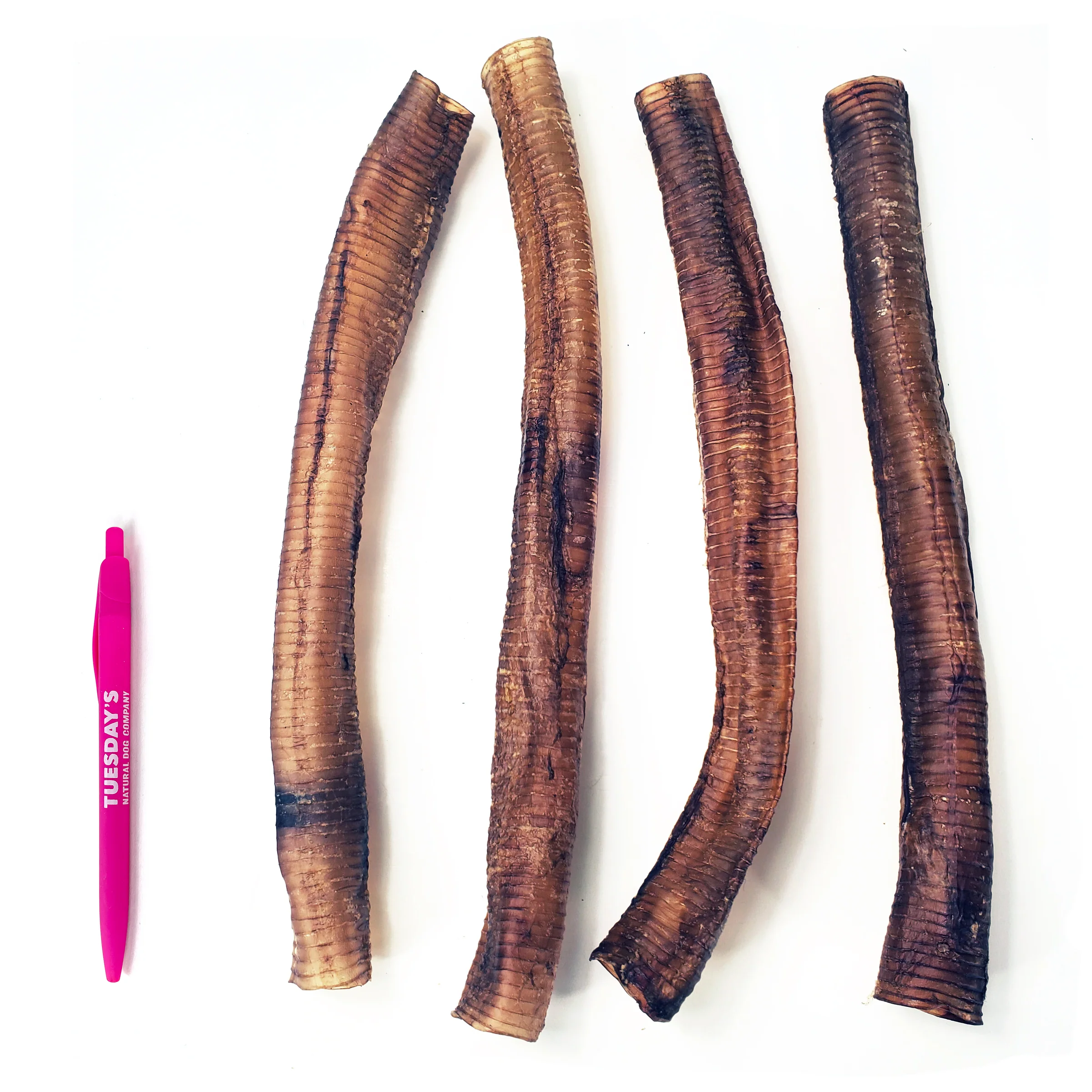 Ostrich Trachea | Wild Miles