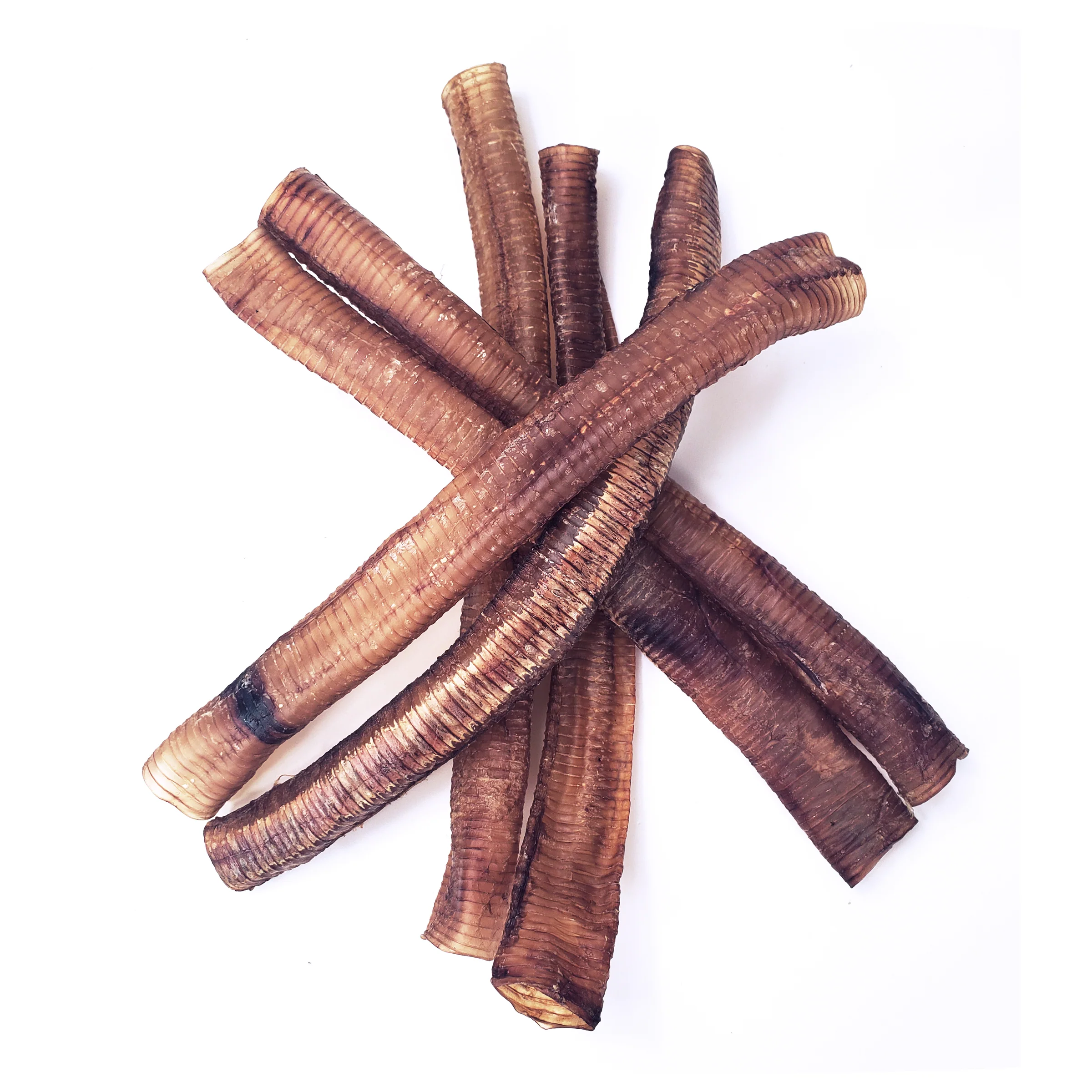 Ostrich Trachea | Wild Miles
