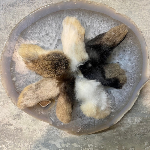 Dried Small Rabbit Feet | Wild Miles