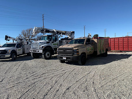 91 BRAVO - DPF Cleaning & Service