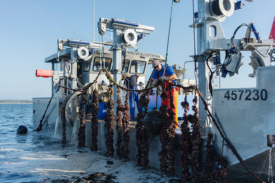 JERVIS BAY SHELLFISH MARKET | Visit Huskisson