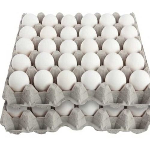 Egg Tray quantity 30 pieces | Machhawala
