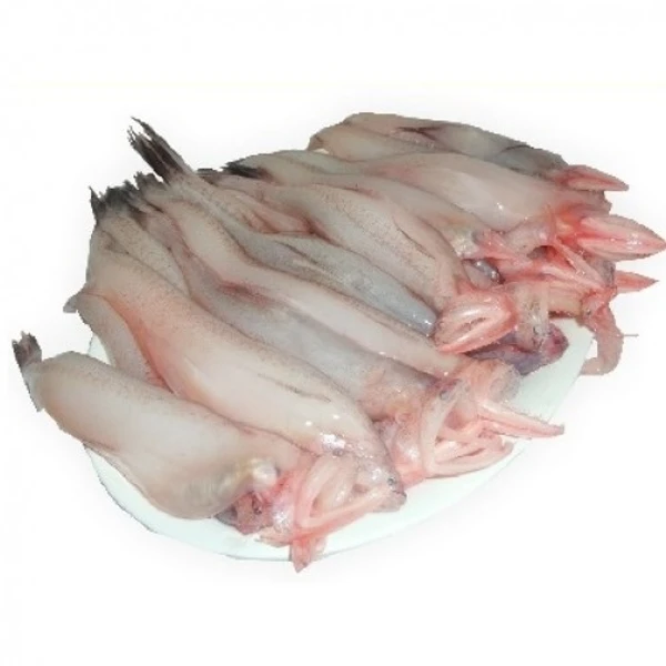 Lotte fish | Machhawala