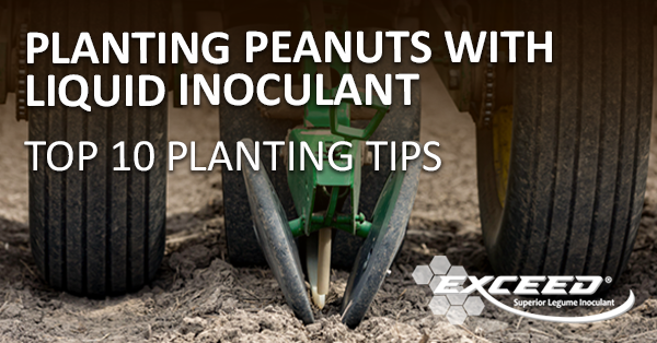 Planting Peanuts with Liquid Inoculant: Top 10 Planting Tips.