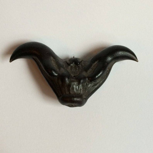 Devil Pod (Trapa bicornis) - Also called Goats Head | MLD