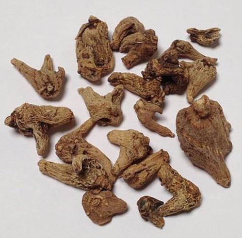 Lucky Hand Root (Spells and Hoodoo Bag component | MLD