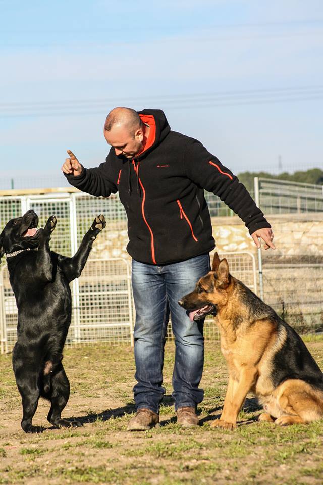 Formation Educateur Canin | France | SYM DOG