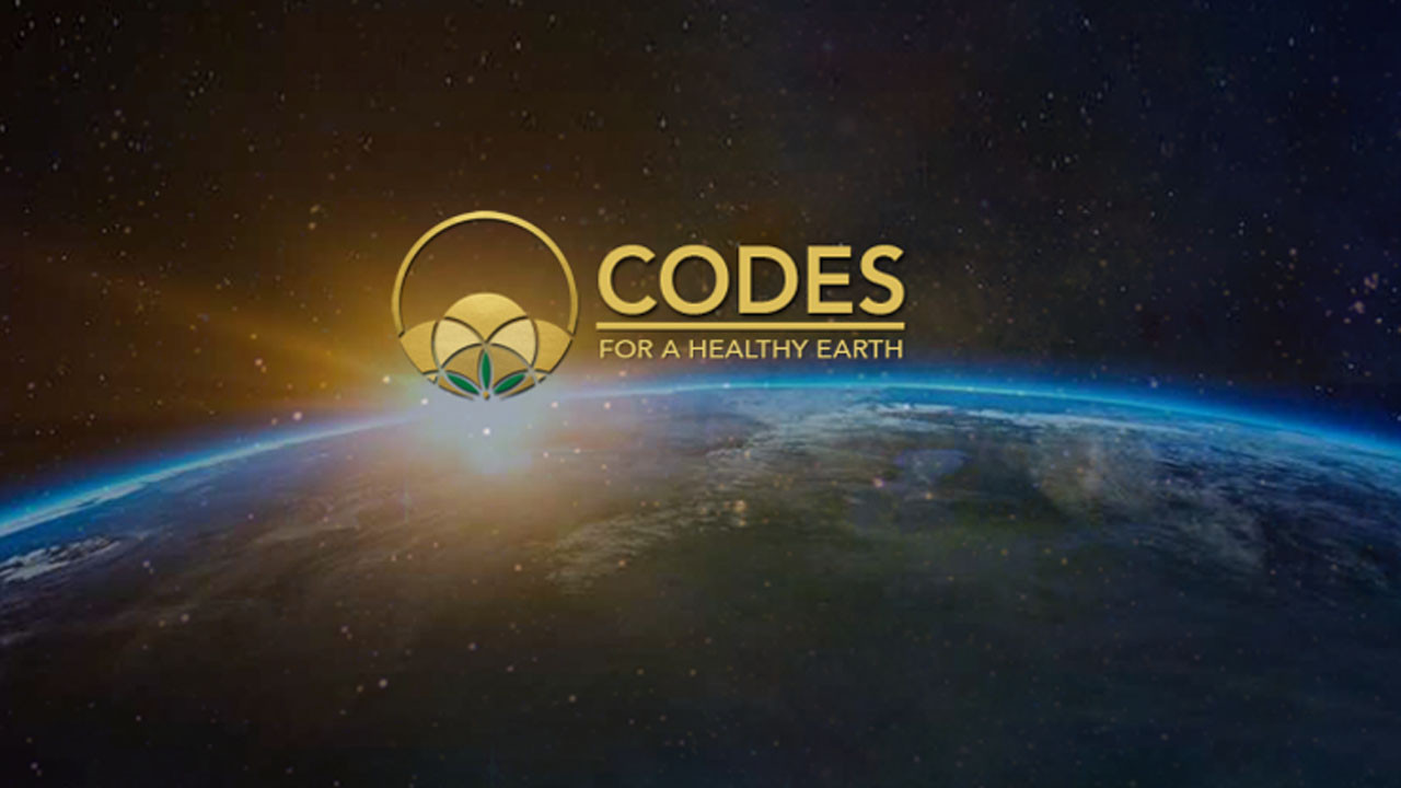 Whole-System Health | Codes for a Healthy Earth