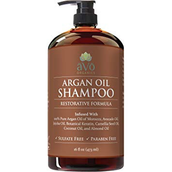 SHAMPOO ARGAN OIL 16 OZ | Valentina