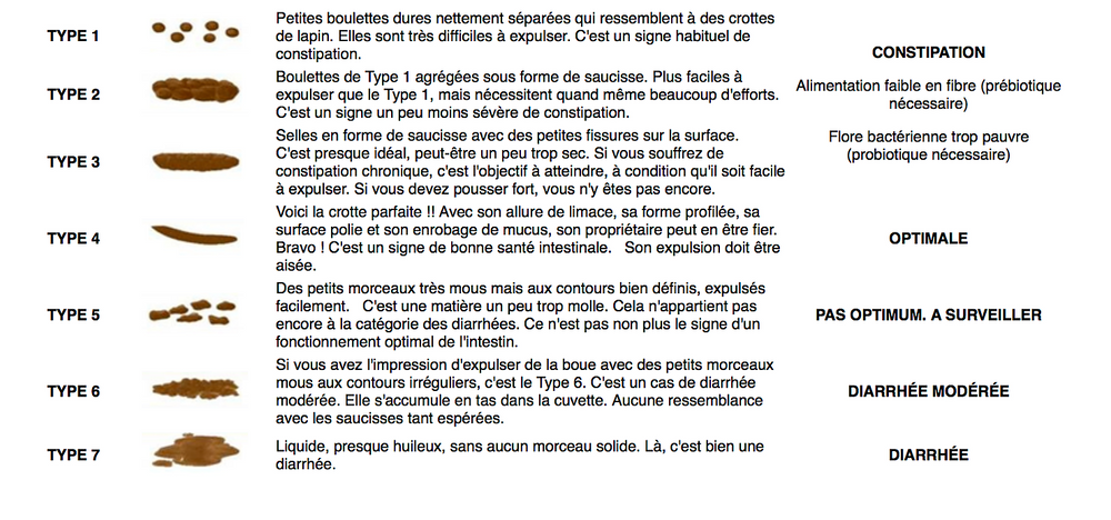 7 Types De Selles Et Leur Signification Pour Votre Santé - Inductif