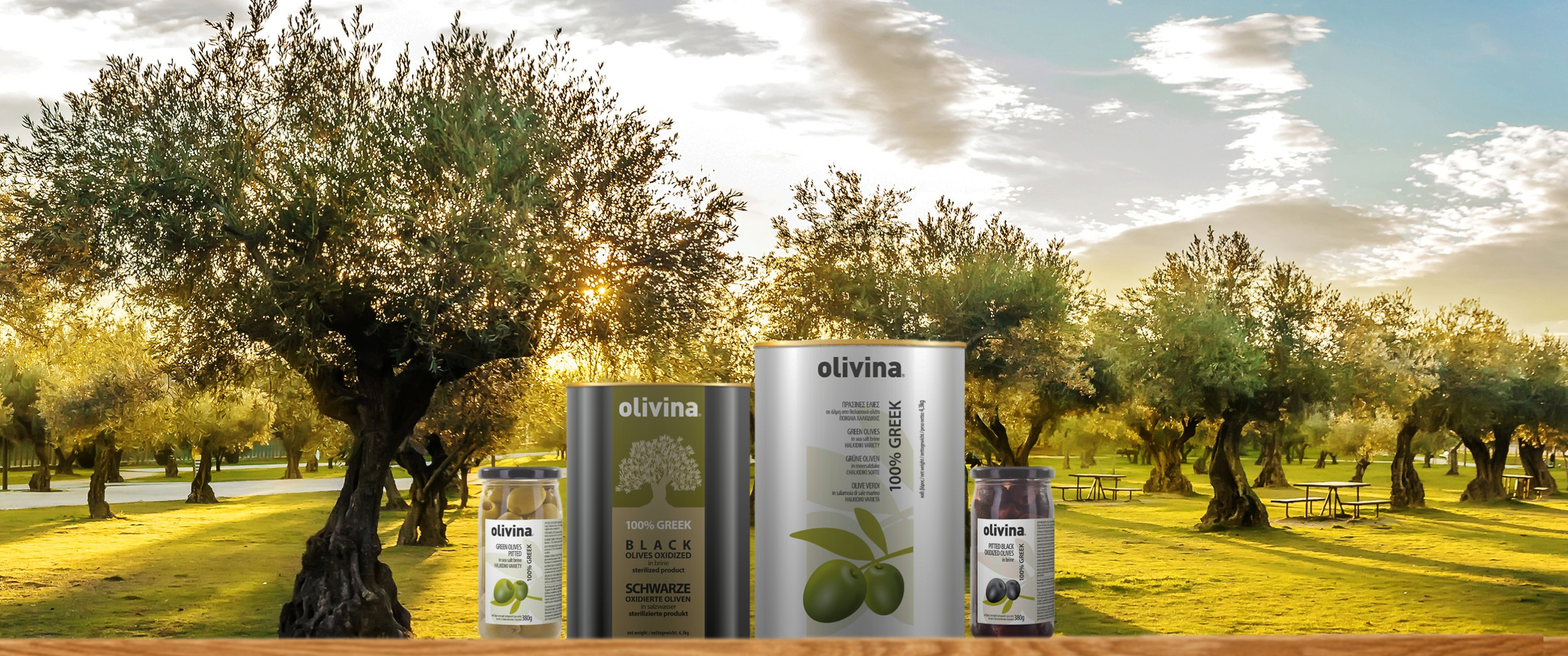 Masline Turcesti și Grecesti | Olivina Agro Impex SRL | Bucuresti