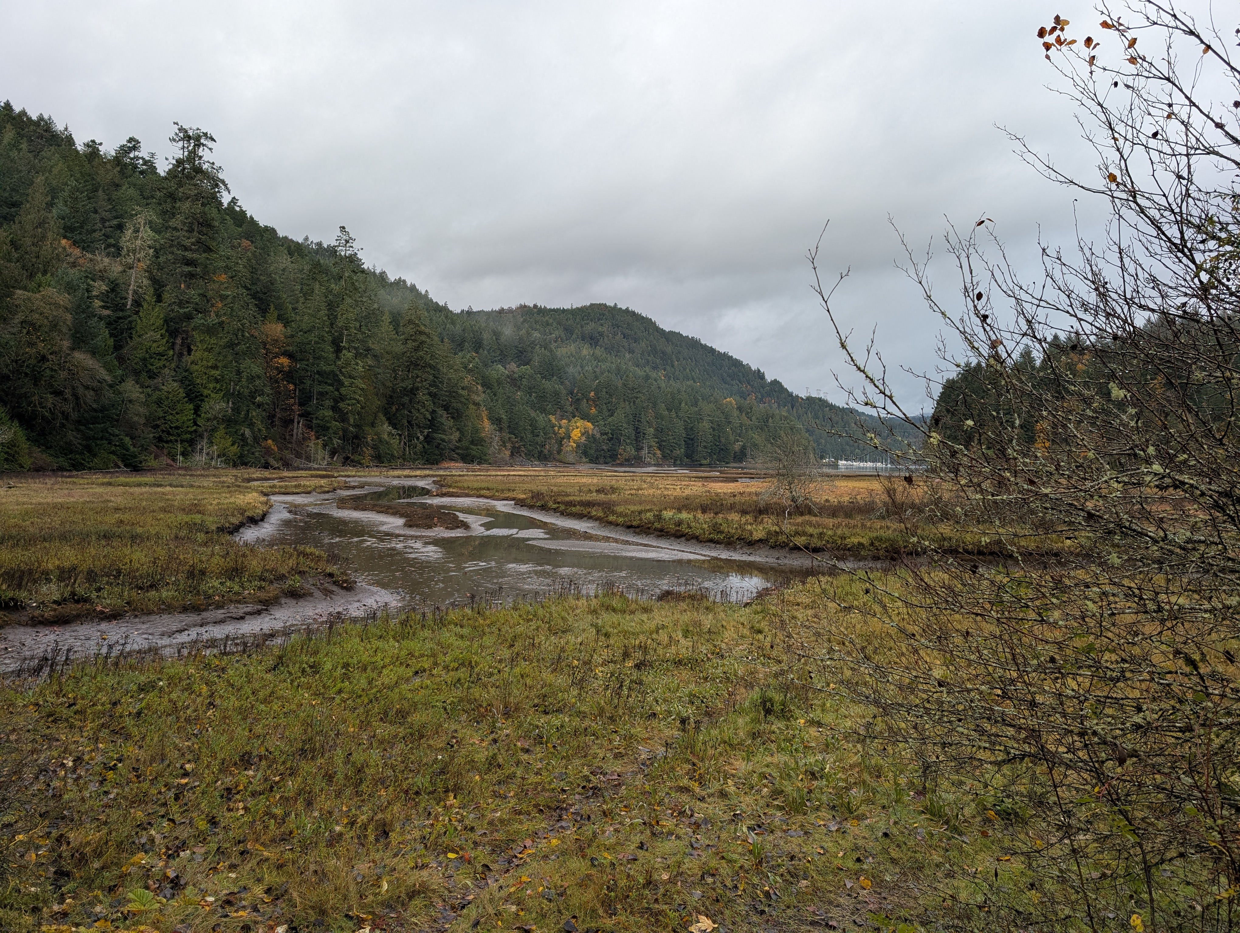 Goldstream Provincial Park | Walking Vancouver Island