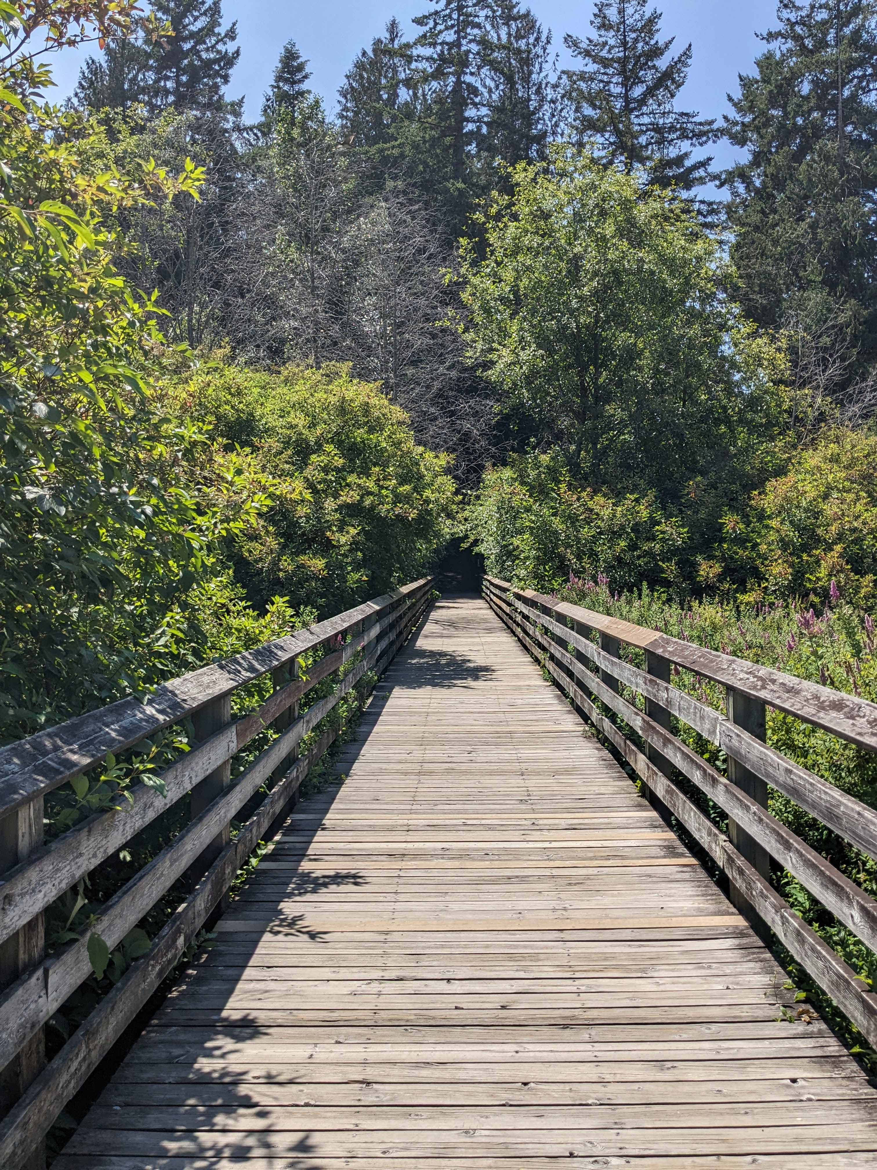 Ed Nixon Trail | Walking Vancouver Island