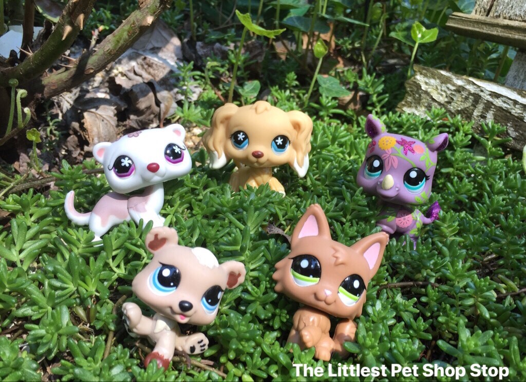 Join “The LPS Stop” on Spaces by Wix