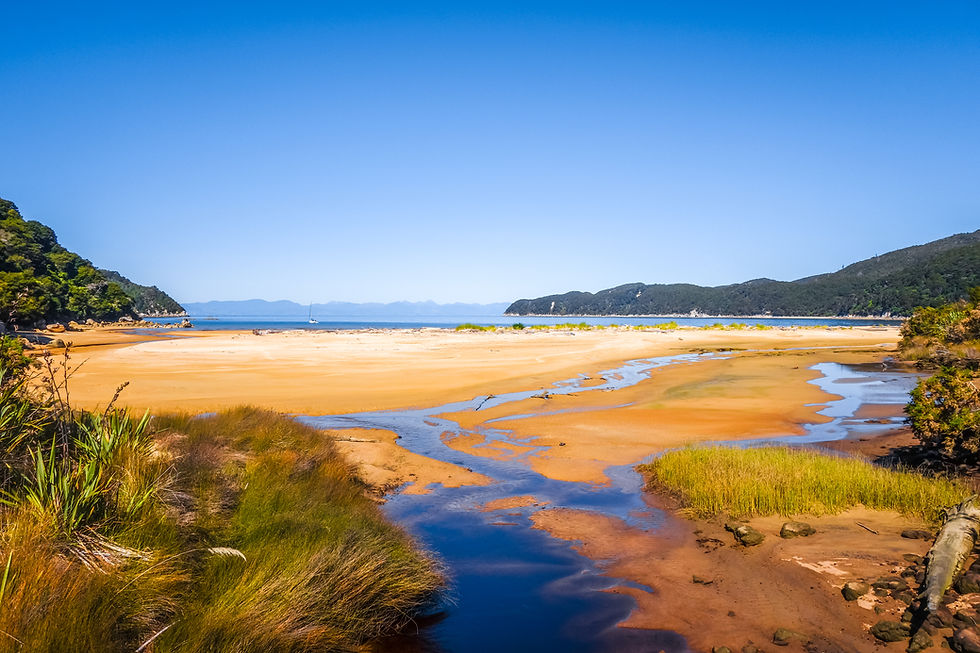 Abel Tasman | Live Walls