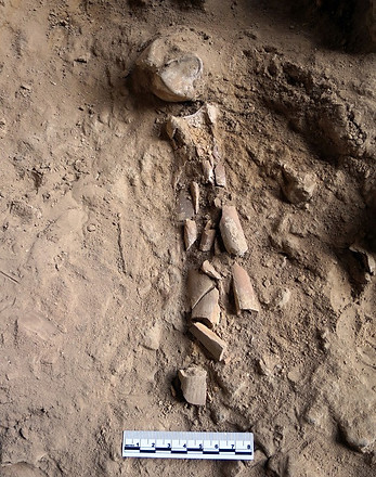 Latest research | Shanidar Cave
