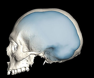 Who were the Neanderthals? | Shanidar Cave