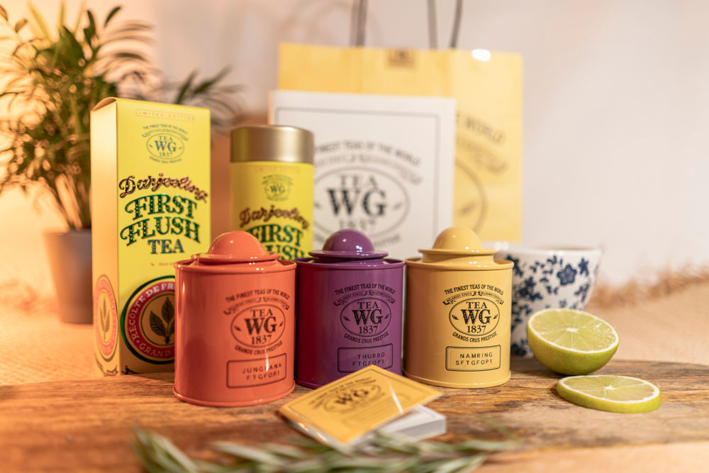 Tea WG Launches Darjeeling First Flush Harvests