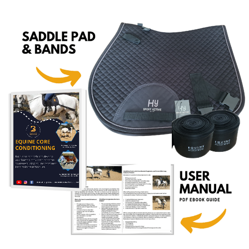 Pony Universal Band System PREMIUM | Equine Balance Bands