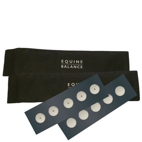 Replacement Magnets - Magnetic Leg Bands for Horses | Equine Balance Bands