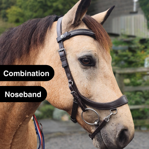 Performance Noseband (Anatomical Style with Detachable Flash) | Equine ...