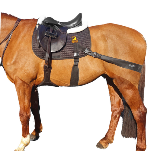 Equine Band System - All Purpose Core conditioning band training aid ...