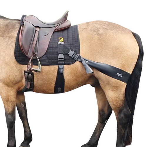 Equine Band System Core Conditioning Band Training Aid for Horses ...