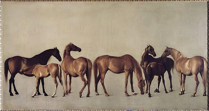 George Stubbs: Whistlejacket