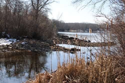 Bolton Lake | Tranquil Visions