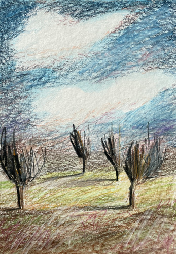 Vivid Field | Chanel Sohier