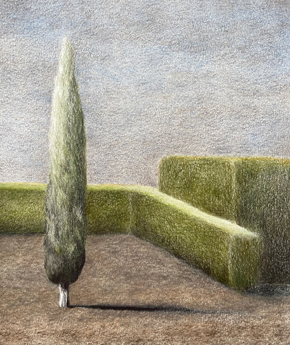 Cypress in Granada | Chanel Sohier